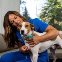 Pet Wellness Guide & Blog | Pet Butler