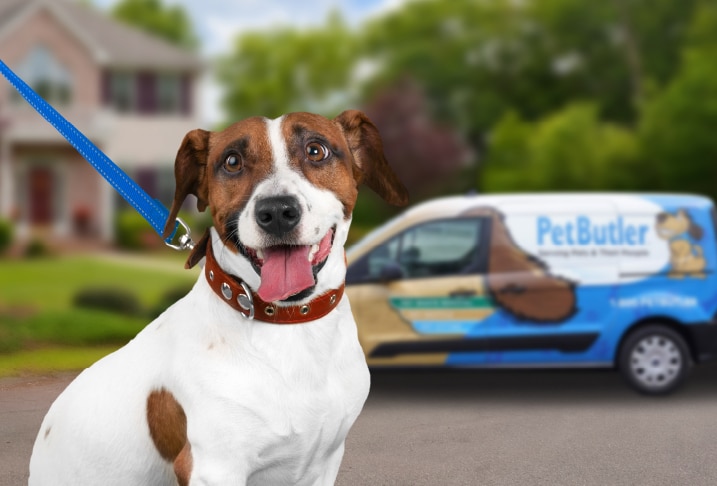 Pet Waste Removal & Pet Care Services for Homes & Businesses
