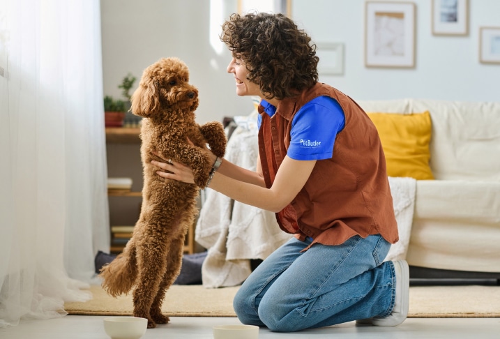 Professional Pet Waste Removal & Care | Pet Butler