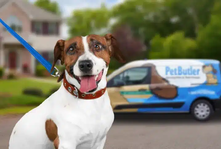 Pet Shuttle - Safe & Reliable Pet Transport | Pet Butler