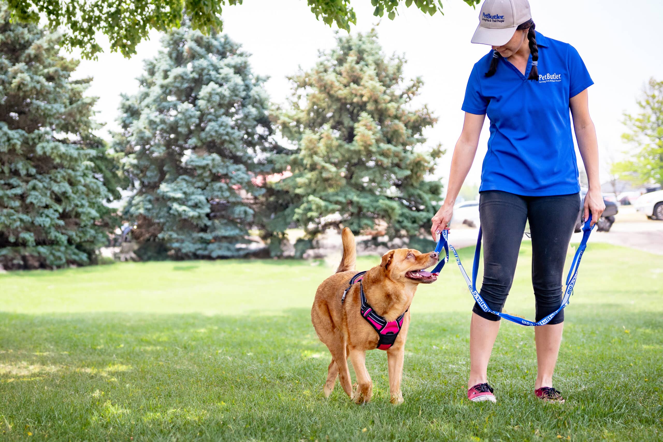 Denver Dog Walking, Pet Sitting & More | Pet Butler Aurora